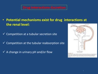 Drug interactions: types & mechanisms | PPTX