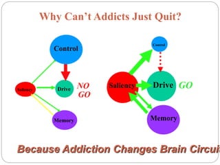 Drug intervention.pptx