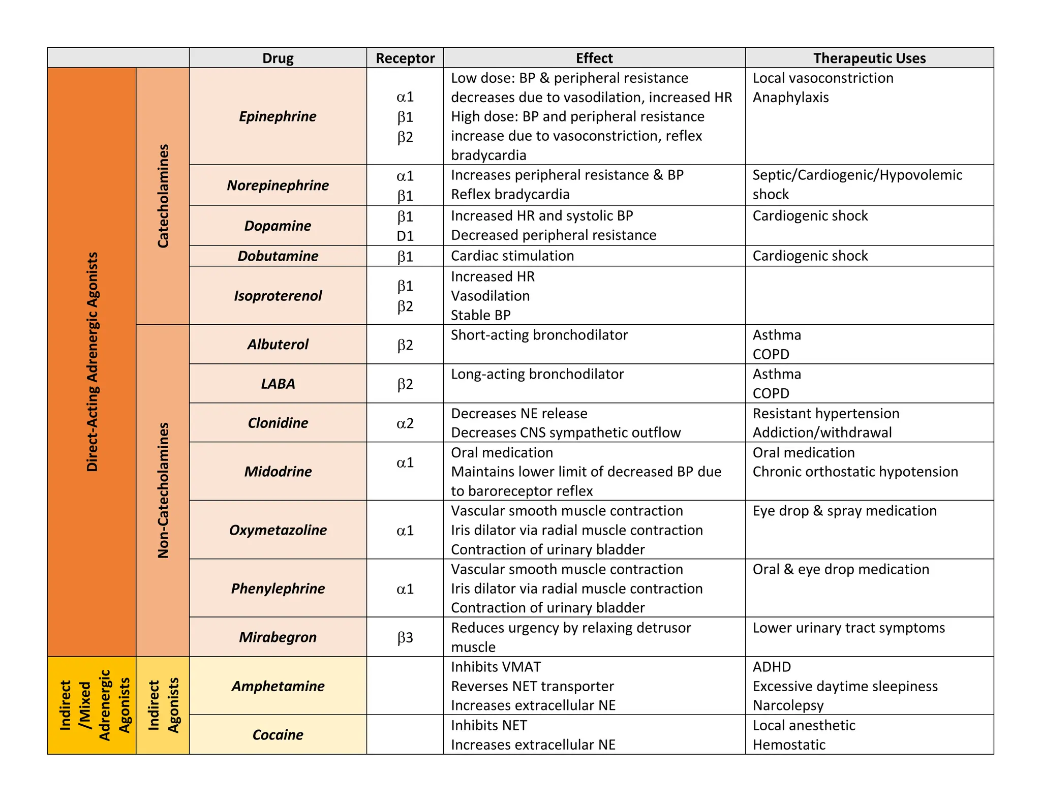 drug list everythign you need to know to | PDF