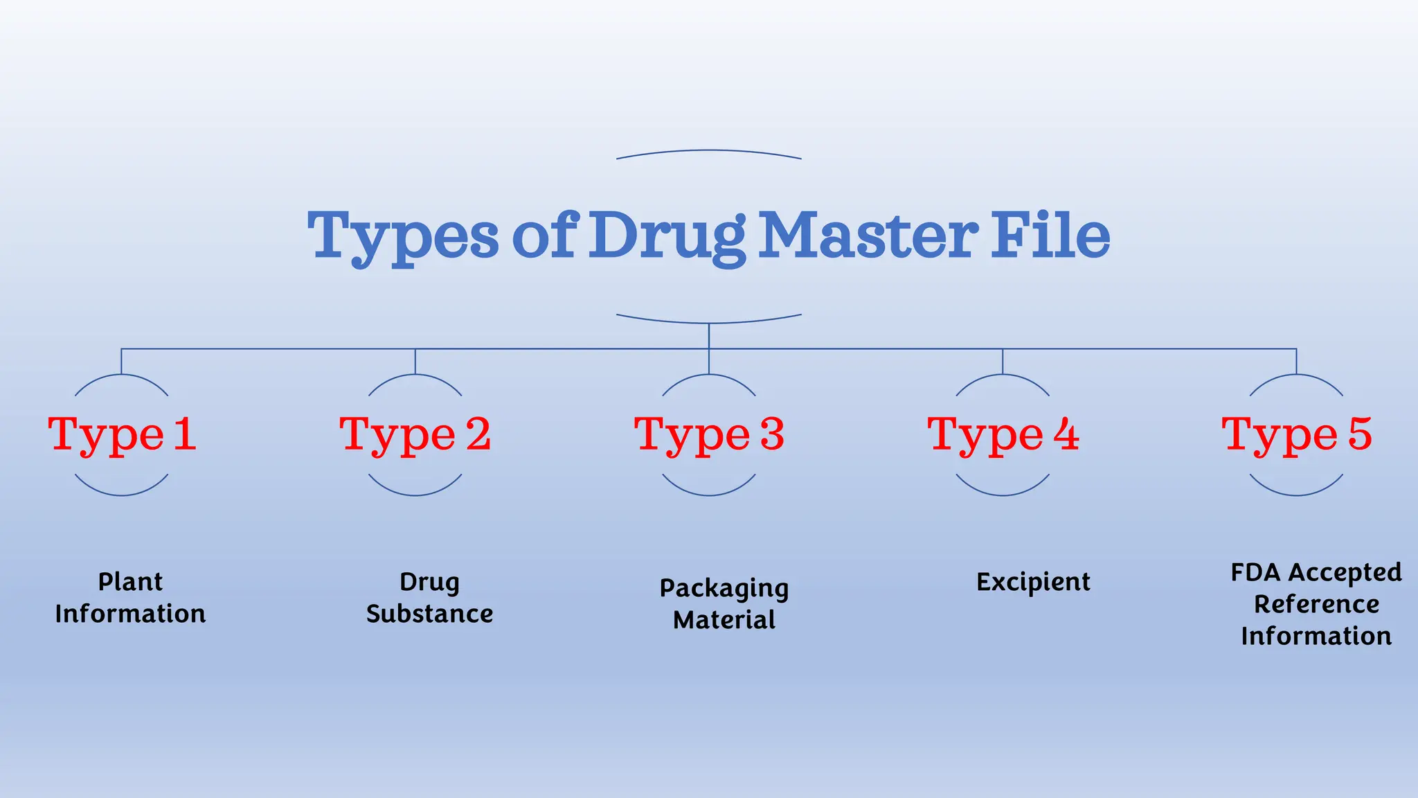 Drug Master File.pdf