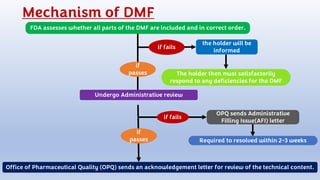 Drug Master File.pdf