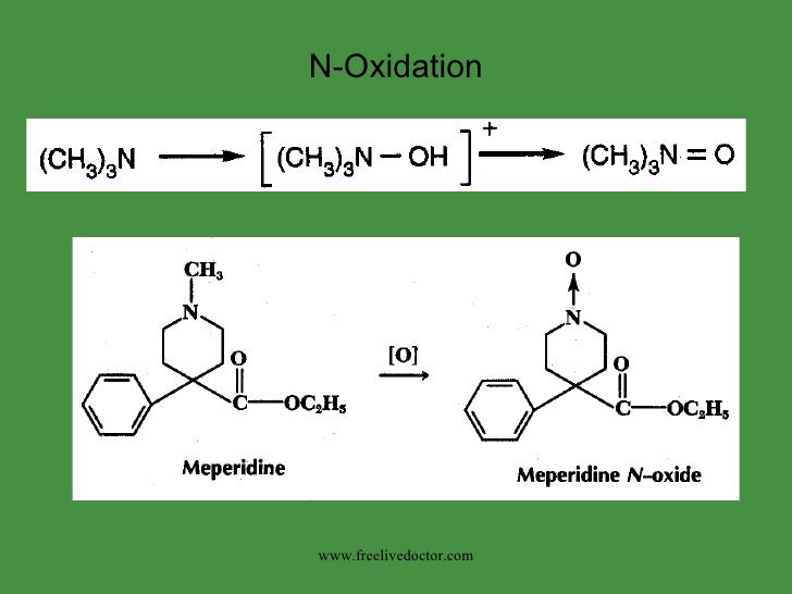 Drug metabolism