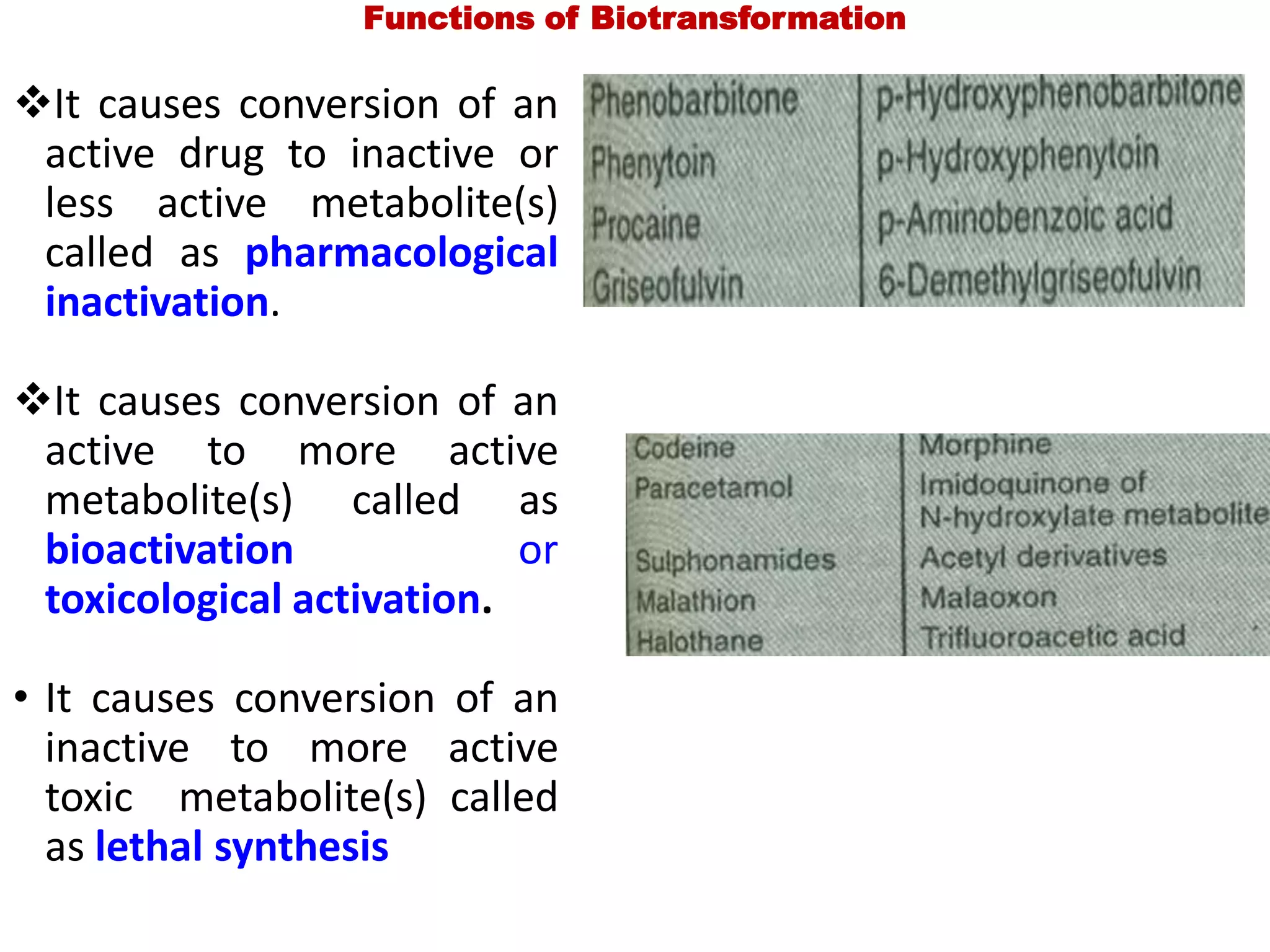 Drug metabolism | PPTX