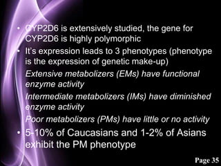 Drug metabolism | PPTX