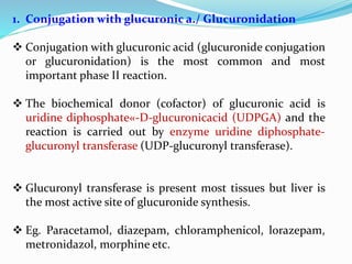 Drug metabolism | PPTX