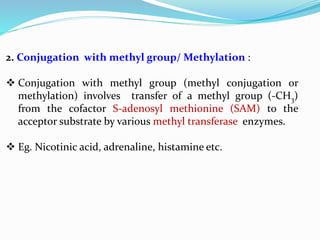 Drug metabolism | PPTX
