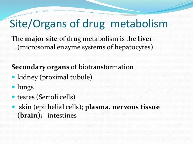 Drug metabolism