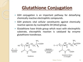 Drug metabolism | PPTX
