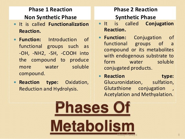Drug metabolism