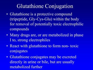 Drug metabolism | PPT