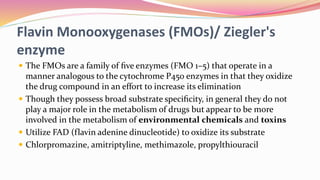 Drug metabolism | PPT