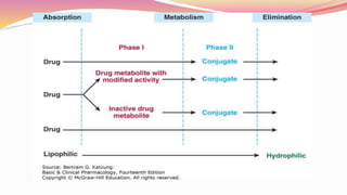 Drug metabolism | PPT