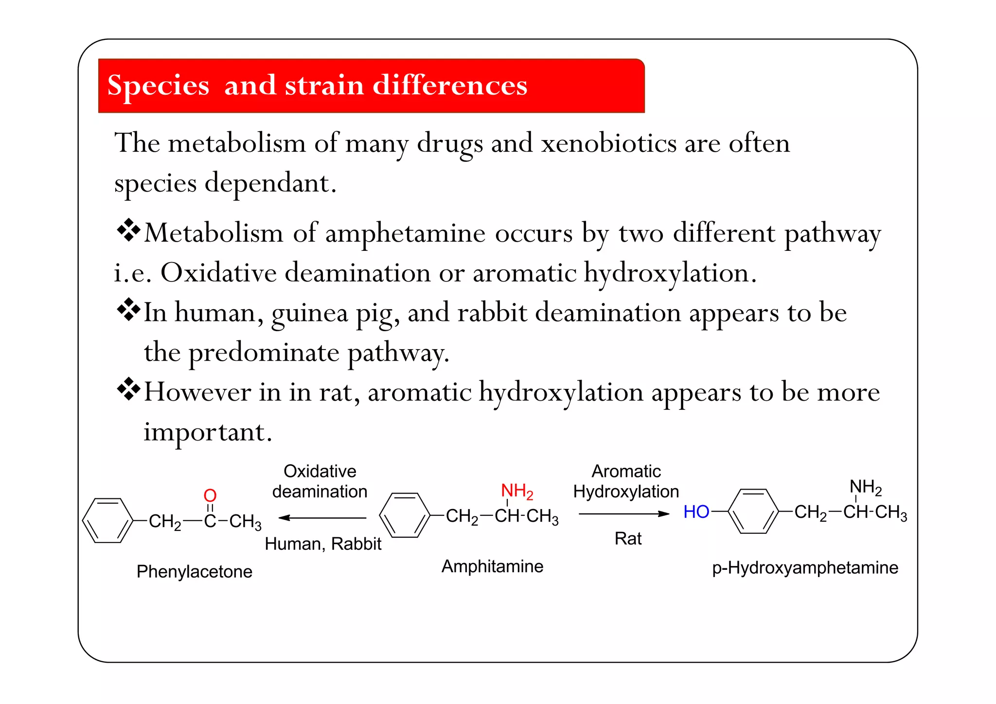 Drug metabolism-Medicinal Chemistry | PDF