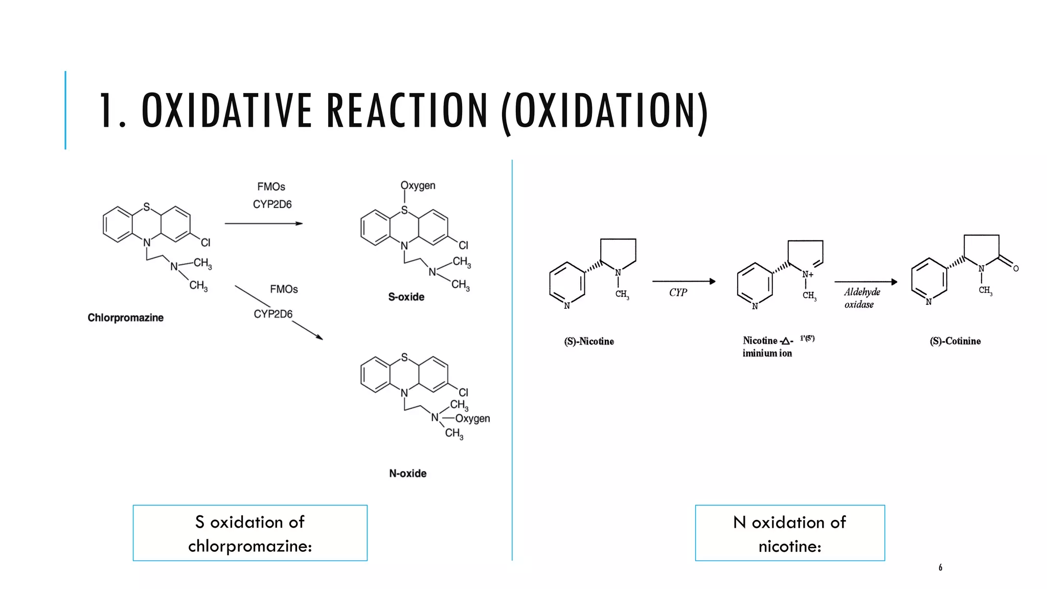 DRUG METABOLISM-MEDICINAL CHEMISTRY | PDF