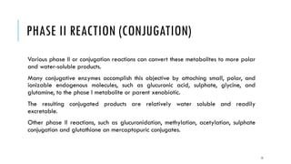 DRUG METABOLISM-MEDICINAL CHEMISTRY | PDF