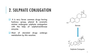 DRUG METABOLISM-MEDICINAL CHEMISTRY | PDF