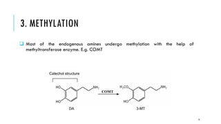 DRUG METABOLISM-MEDICINAL CHEMISTRY | PDF