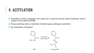 DRUG METABOLISM-MEDICINAL CHEMISTRY | PDF