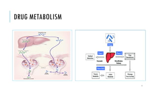 DRUG METABOLISM-MEDICINAL CHEMISTRY | PDF