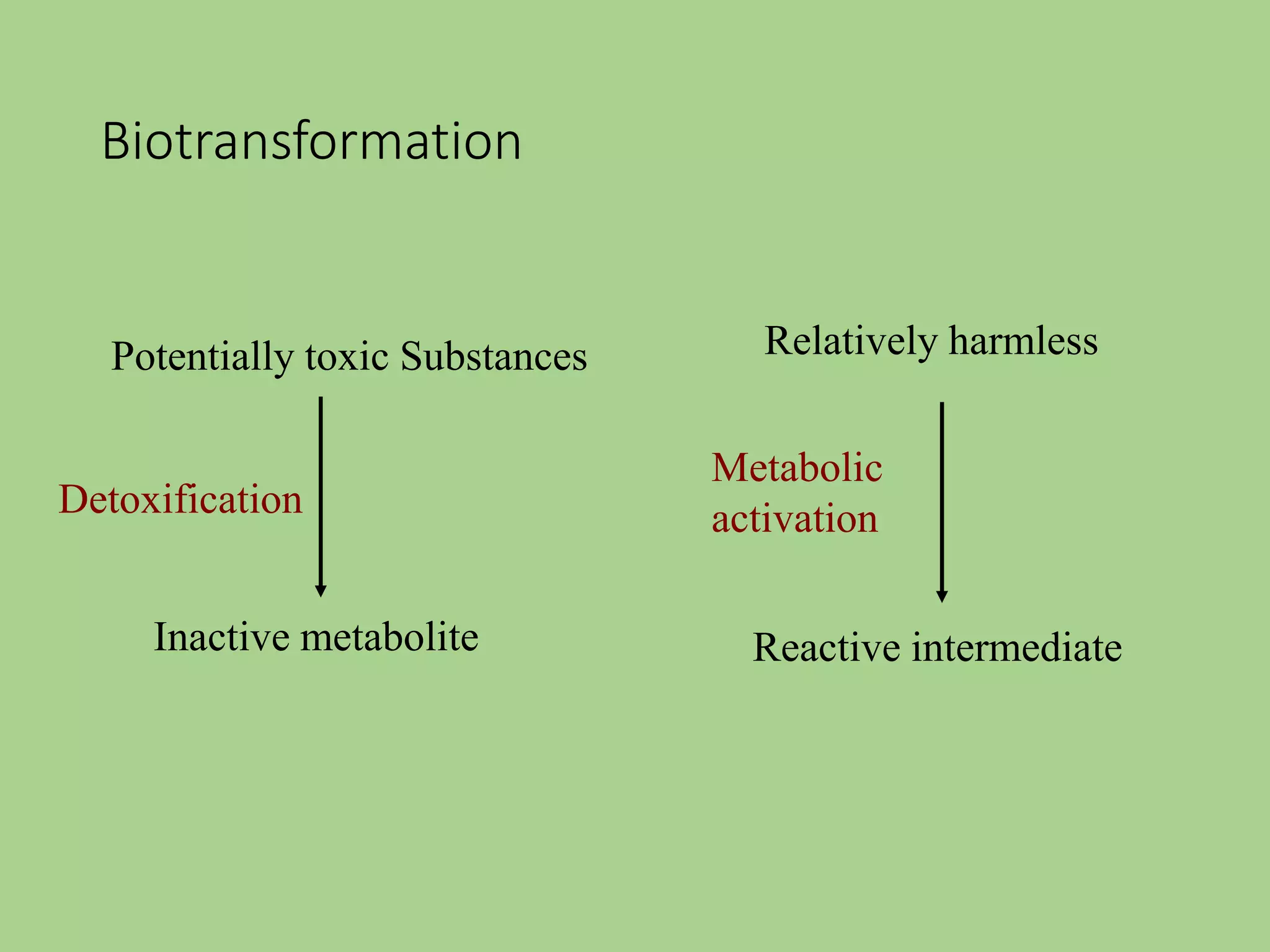 Drug metabolism (metabolism of drugs) | PPT