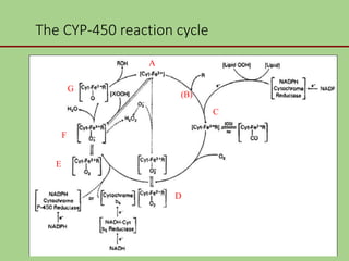Drug metabolism (metabolism of drugs) | PPT