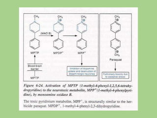 Drug metabolism (metabolism of drugs) | PPT
