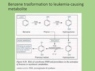 Drug metabolism (metabolism of drugs) | PPT