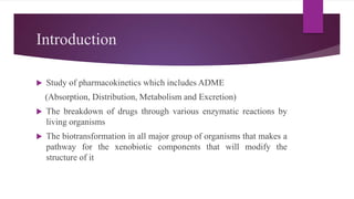 Drug Metabolism Pharmacokinetics Drug Discovery Bioinformatics