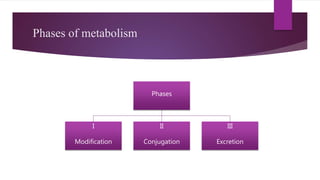 Drug metabolism | Pharmacokinetics | Drug discovery | Bioinformatics ...