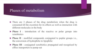 Drug metabolism | Pharmacokinetics | Drug discovery | Bioinformatics ...