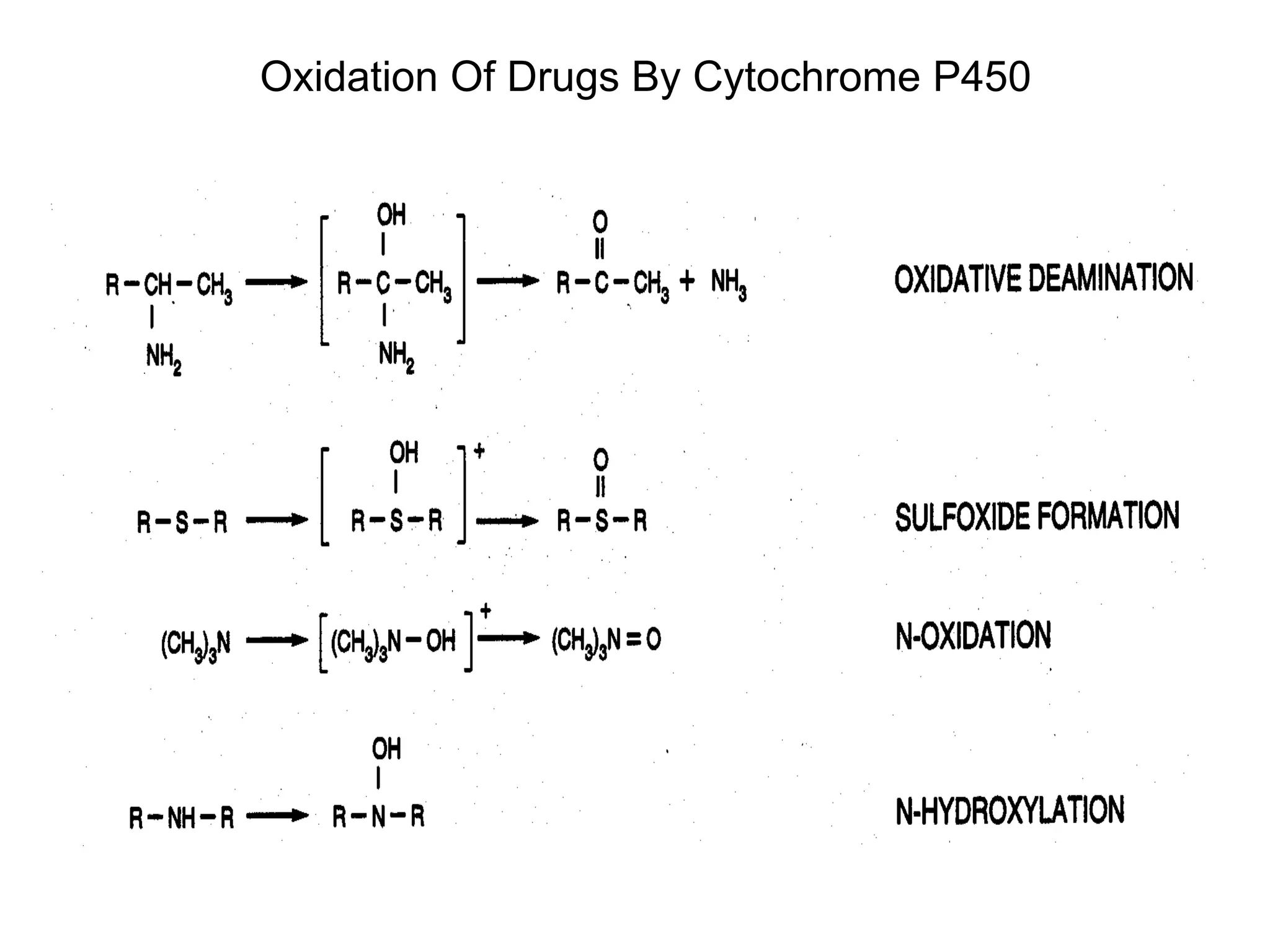 Drug metabolism | PDF