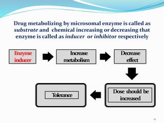 Drug Metabolism.pptx