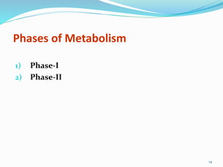 Drug Metabolism.pptx