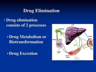 Drug Metabolism.pptx