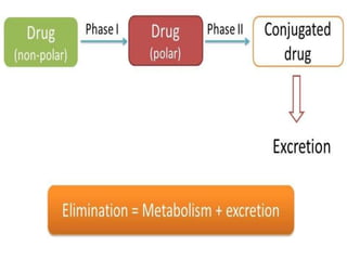 Drug Metabolism.pptx