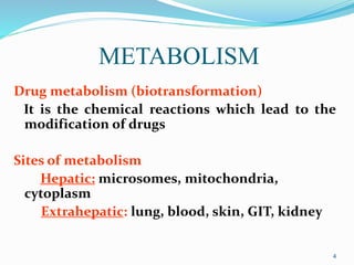 Drug Metabolism.pptx