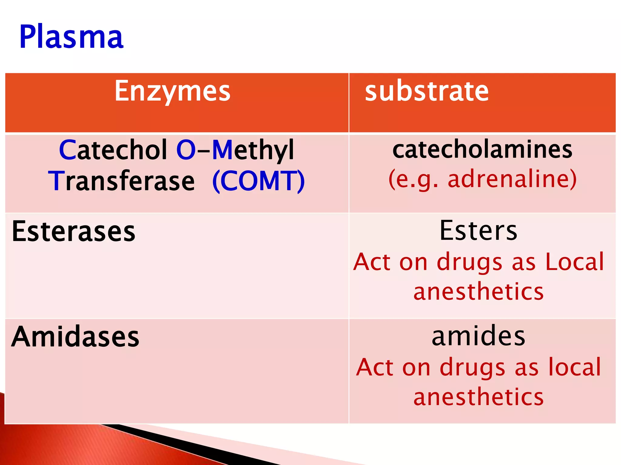 Drug Metabolism.pptx