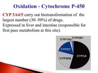 Drug Metabolism.pptx