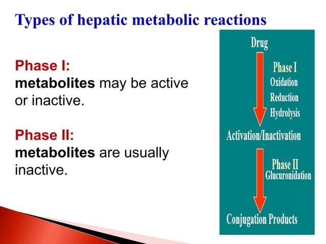 Drug Metabolism.pptx