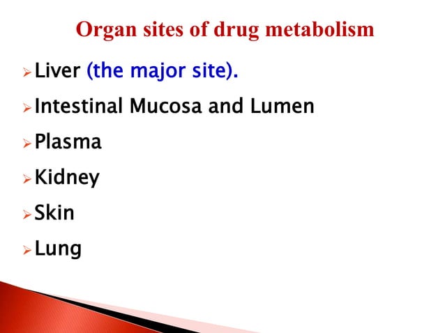 Drug Metabolism.pptx