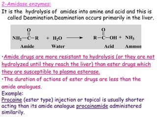 Drug Metabolism.ppt