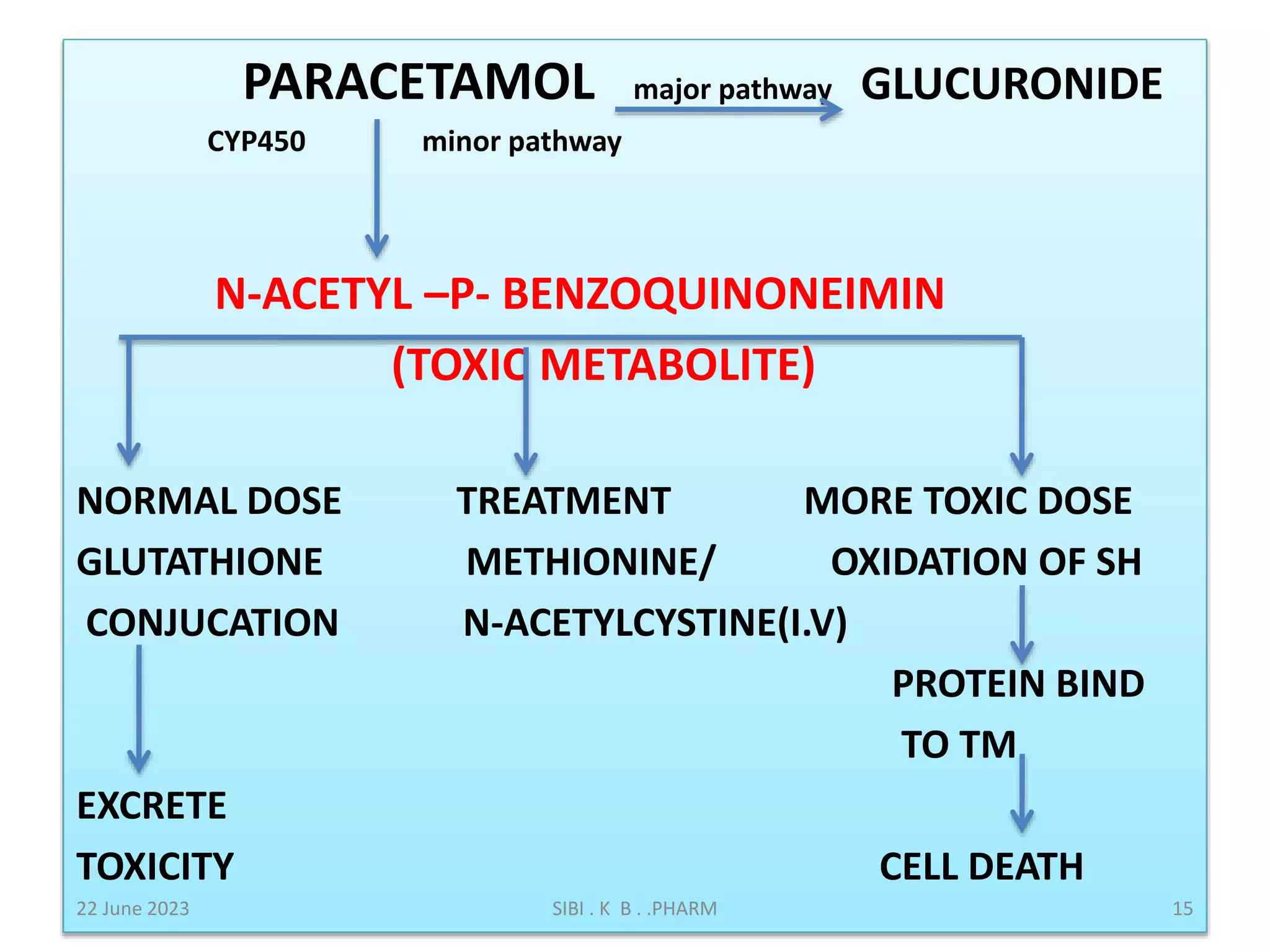 DRUG METABOLISM.pptx