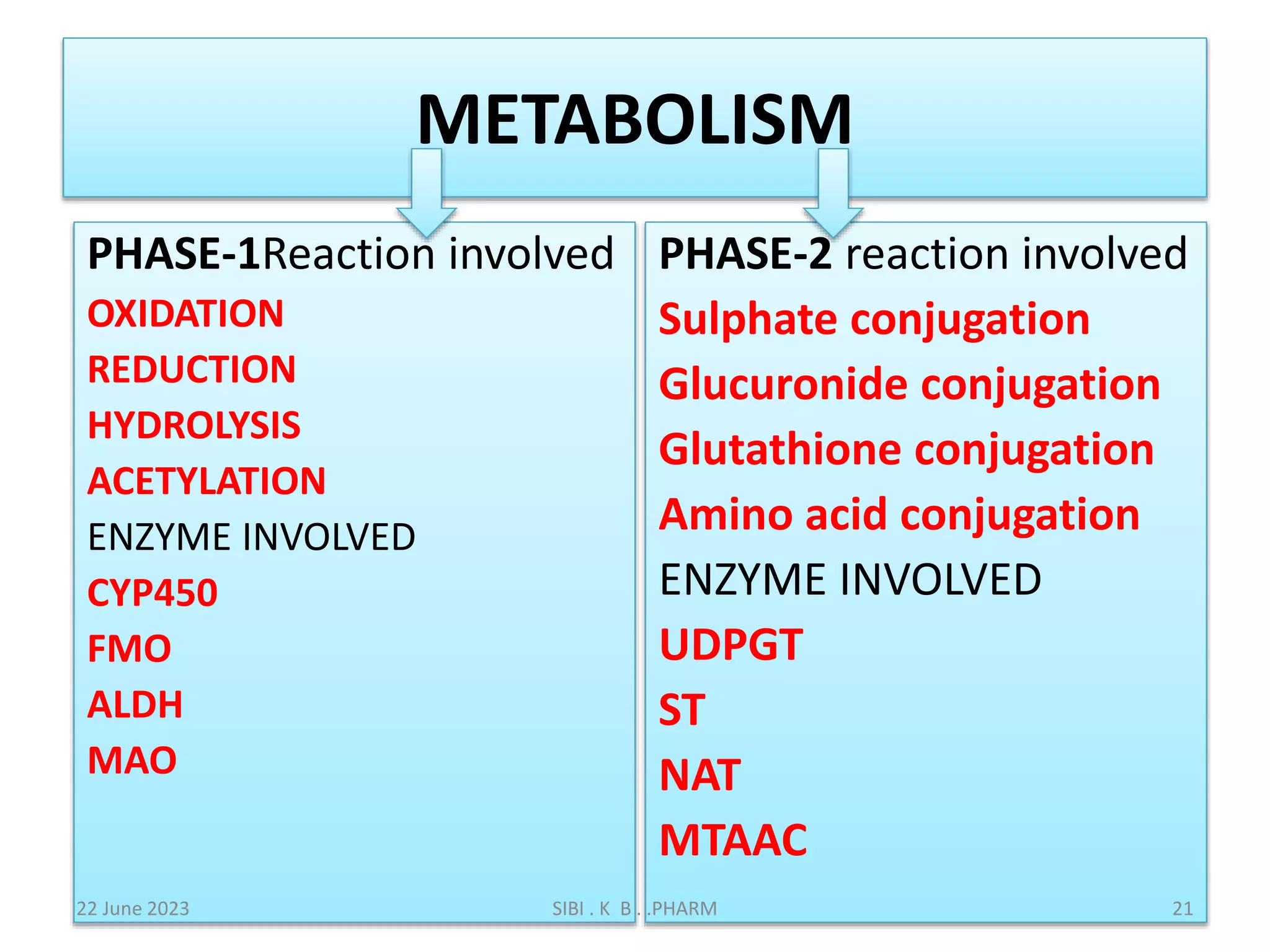 DRUG METABOLISM.pptx
