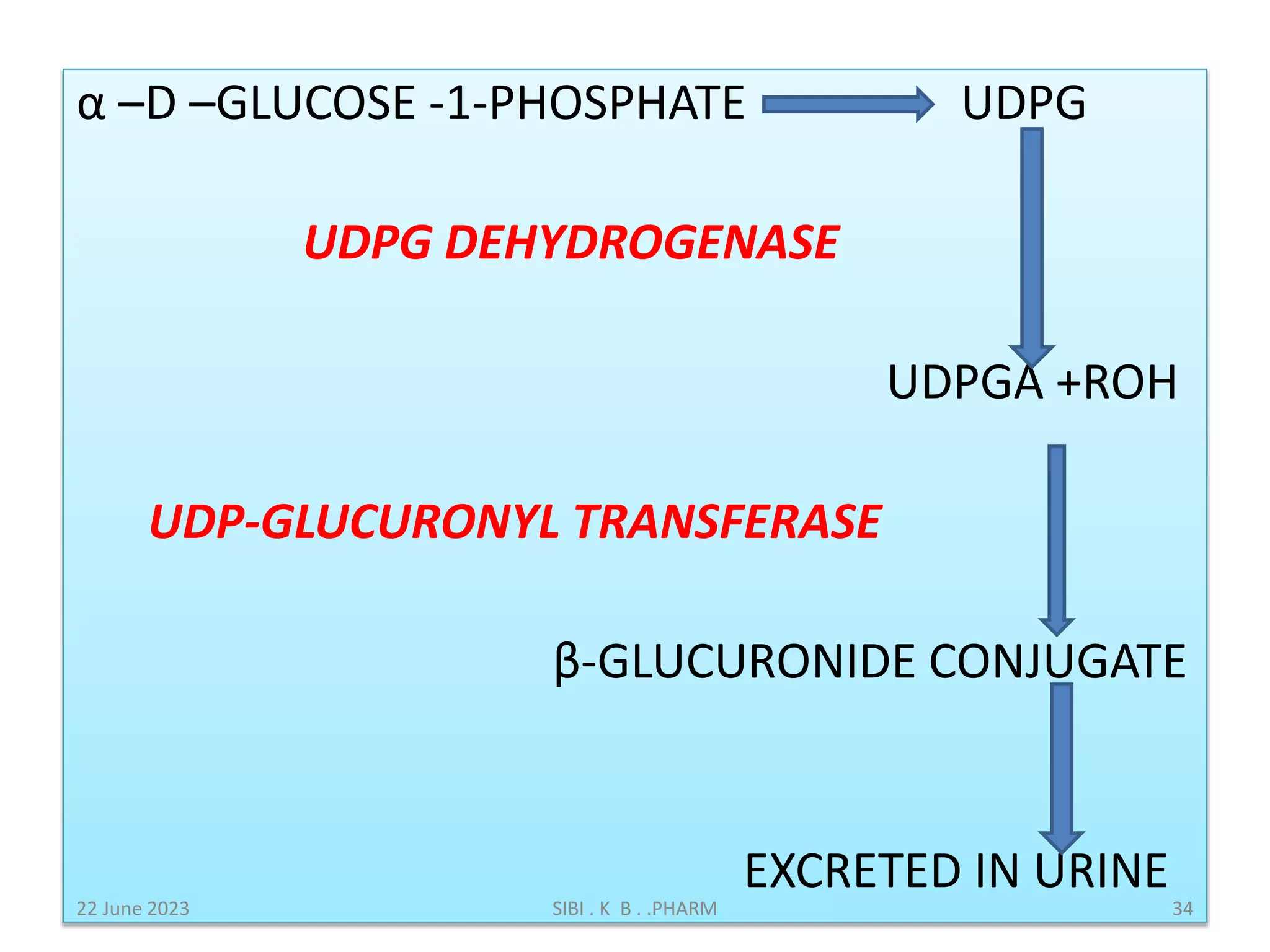 DRUG METABOLISM.pptx