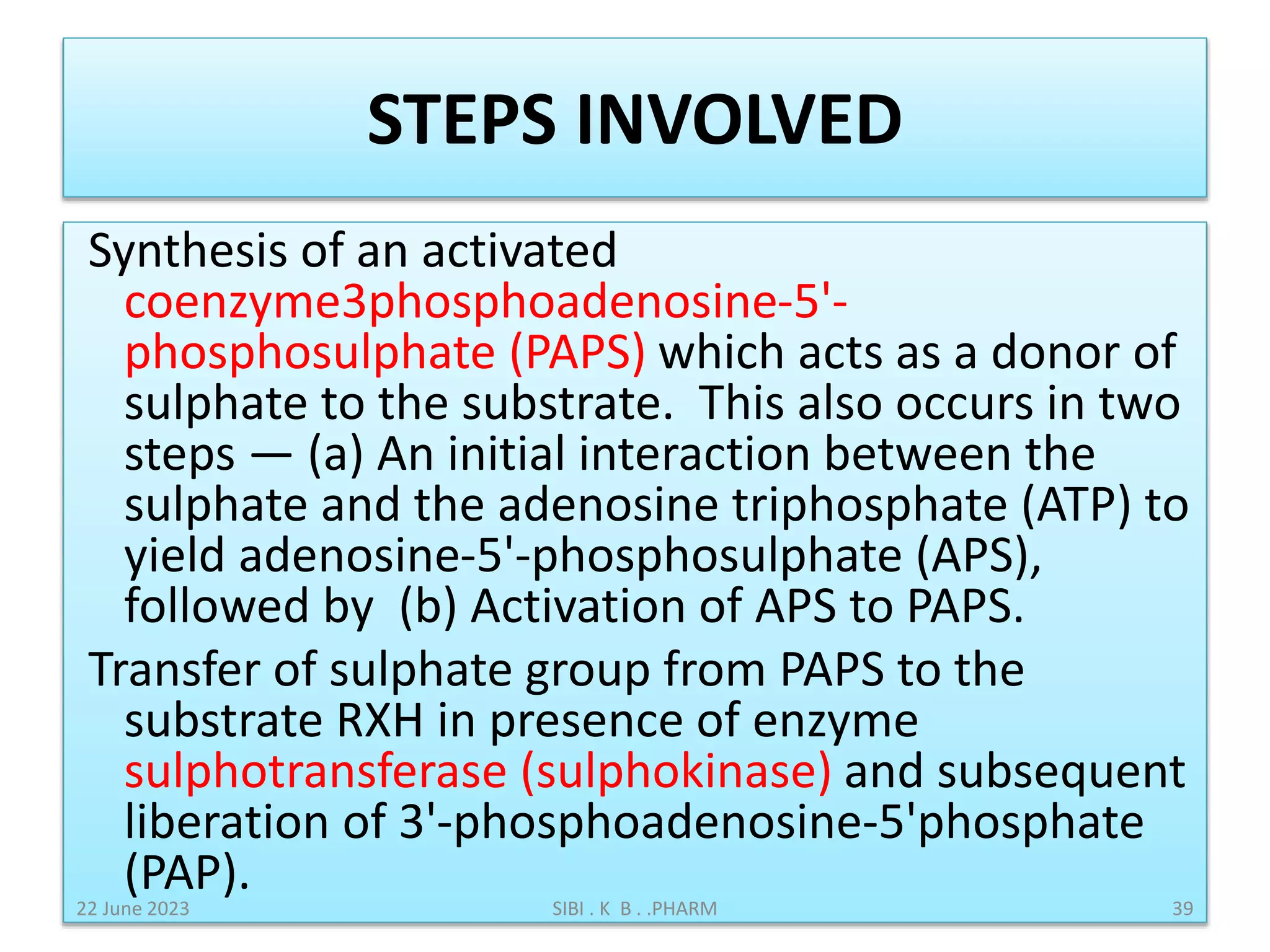 DRUG METABOLISM.pptx
