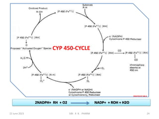 DRUG METABOLISM.pptx