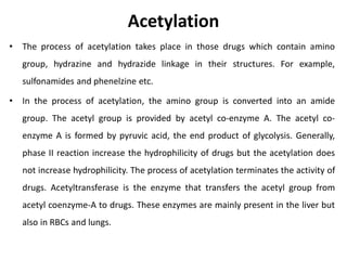 Introduction to Drug Metabolism reactions | PDF