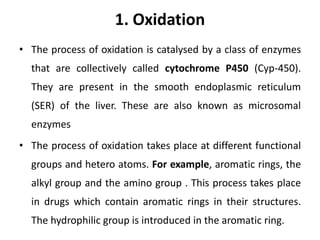Introduction to Drug Metabolism reactions | PDF