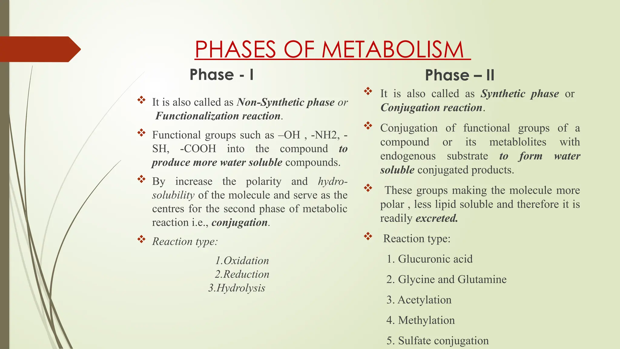 Drug Metabolism advanced medicinal chemistry.pptx