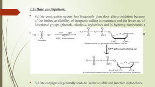 Drug Metabolism advanced medicinal chemistry.pptx